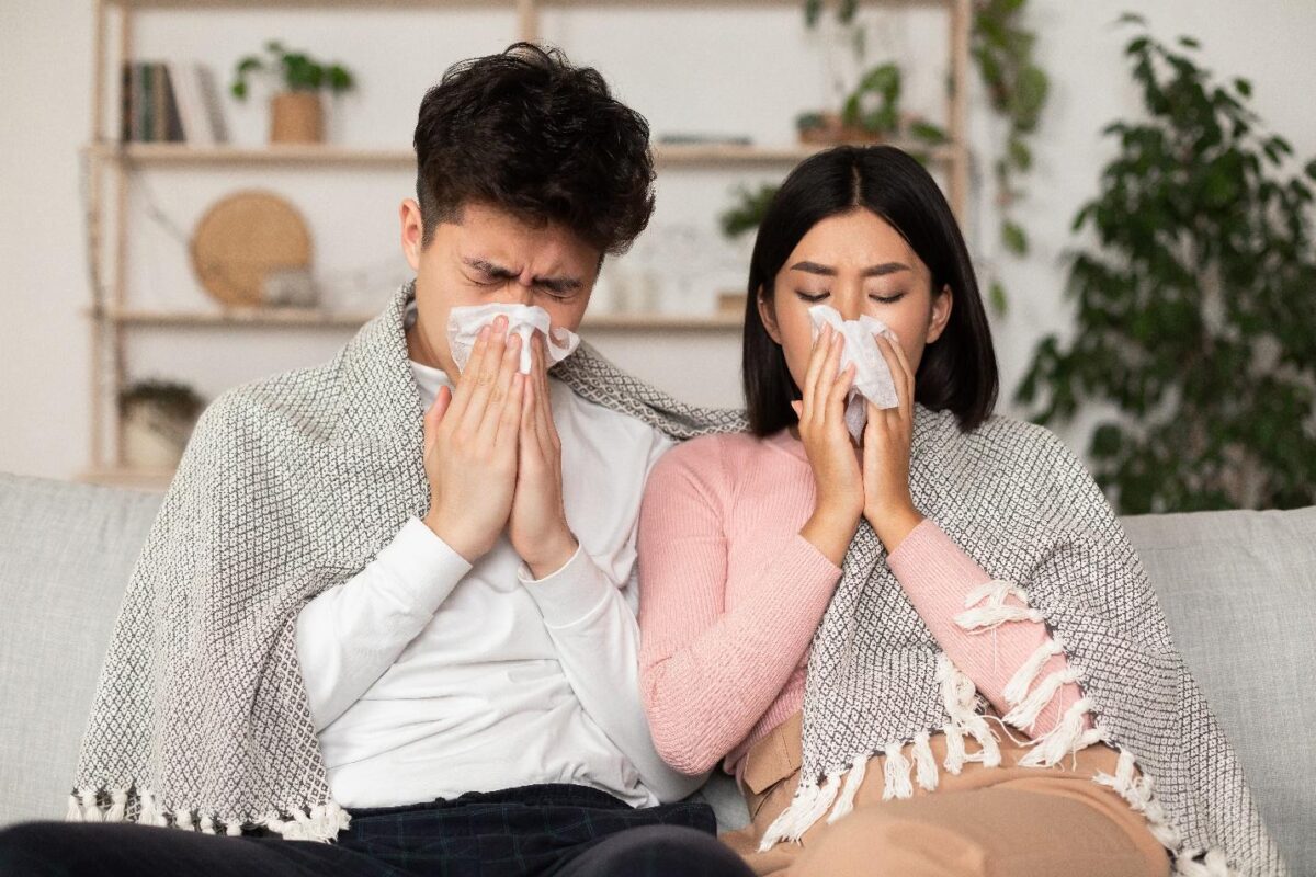 ALLERGIC RHINITIS VS SINUS — HOW TO TELL THE DIFFERENCE? - Sato